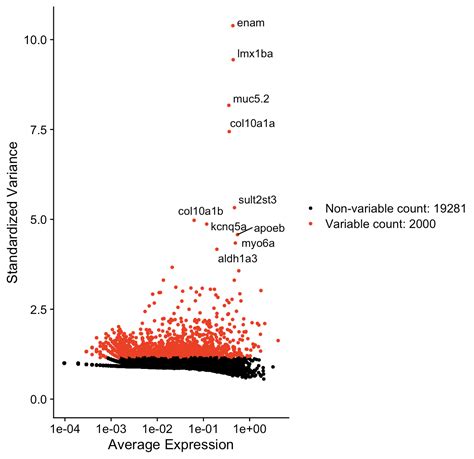 GitHub Phenotypic RNAseq Analyser Analyse RNA Seq Data Using Seurat