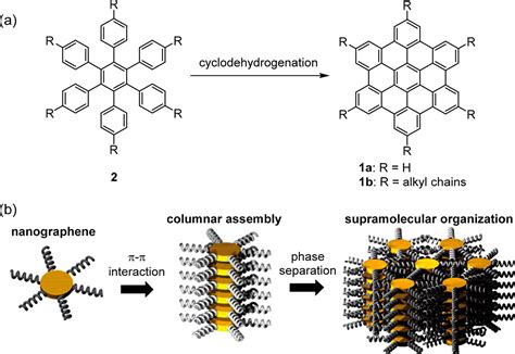 Heteroatom Doped Nanographenes With Structural Precision Accounts Of Chemical Research