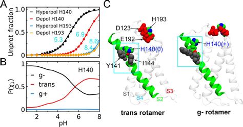 Sidechain Dihedral Fluctuation Of H140 A Unprotonation Fractions Of Download Scientific