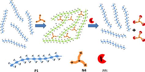 Pyrophosphate Sensor Based On Principal Component Analysis Of Conjugated Polyelectrolyte