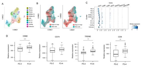 Combined Analysis Of ScRNA Seq With DSP A Reconstituted T SNE Graph Download Scientific