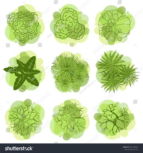 Trees Top View Landscape Vector Illustration Stock Vector Royalty Free Shutterstock