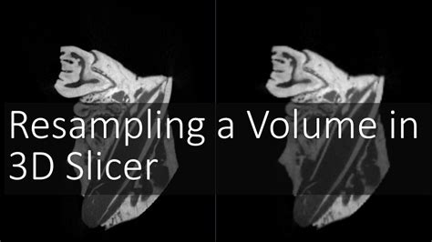 resampling volumes in 3d slicer introduction to digital preparation