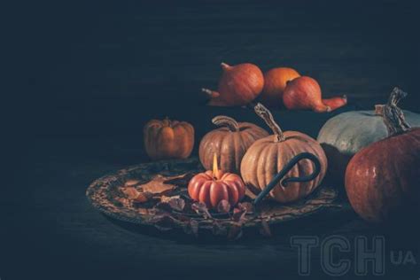 Як зробити ароматні свічки зі звичайних гарбузів Читайте на Ukr Net