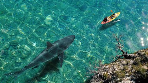 Why Quick Fixes Fail Rethinking Microservices Testing The New Stack