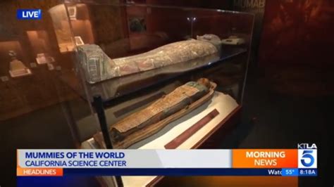 Mummies Of The World At The California Science Center Ktla