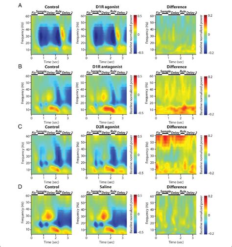Time Dependent Modulation Of Internally Generated LFP Power Spectra Download Scientific