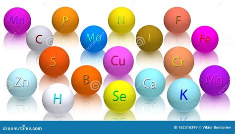 Basic Micro Nutrients And Macro Nutrients Necessary For Human Health Stock Illustration