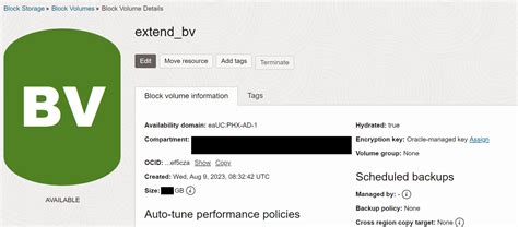 Oracle Cloud Infrastructure Compute 인스턴스에 연결된 논리적 블록 볼륨 확장