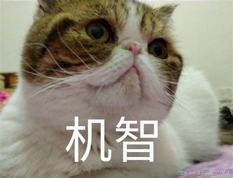 传统图像算法与深度学习神经网络：深度融合的策略研讨与应用前景展望传统图像算法和神经网络算法 Csdn博客