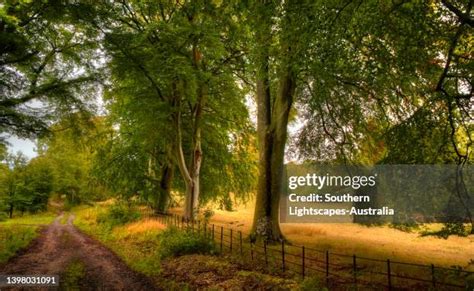 Ian Chase Photos And Premium High Res Pictures Getty Images
