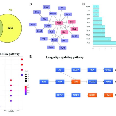 Proteomics Analysis Flow Chart Of Bpn14770 Treatment In Humanized Download Scientific Diagram