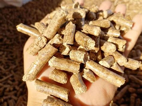 Uses And Advantages Of Biomass Pellets Wood Pellet Mill Supplier