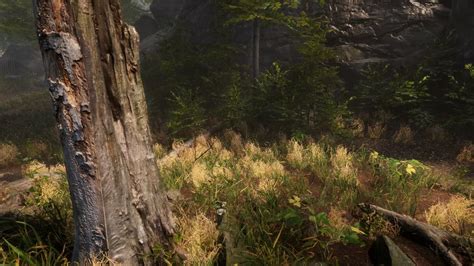 i made environment scene with unity hdrp r unity3d