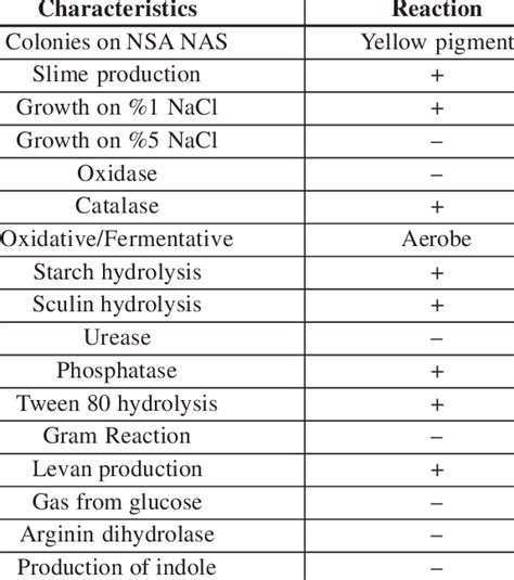 Biochemical Tests Results On Positive Bacterial Isolates Download Table