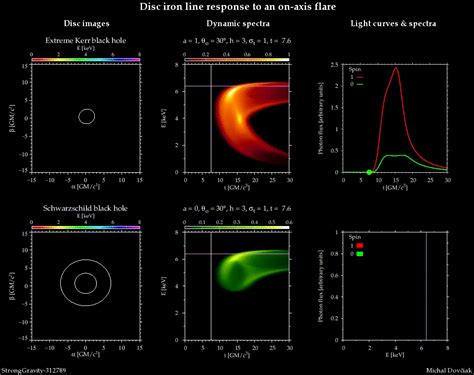 x ray reverberation measurements of black hole mass and spin nature