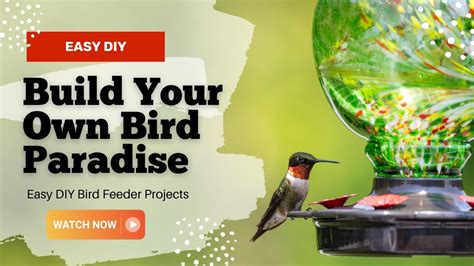 Build Your Own Bird Paradise Easy Diy Bird Feeder Projects Birds Birdsparadise Projects