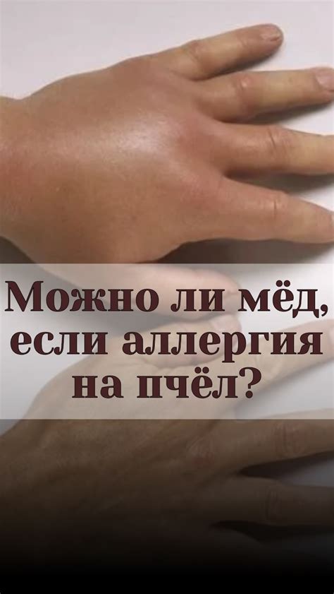Башкирский мед Мёд — это не только сладкий деликатес но и секретный ингредиент для кулинарии
