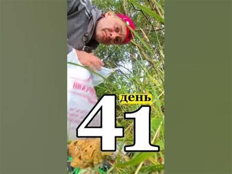 41 ДЕНЬ. Отдохнули! Уберите мусор за собой! #моймешокпластика # ...