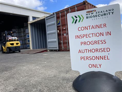 calls for a pest resistant container design ‣ worldcargo news