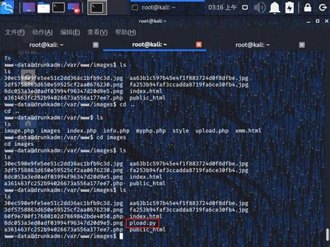 vulnhub靶机渗透 Drunk Admin Web Hacking Challenge xfd s blog