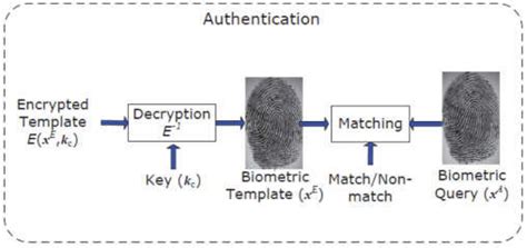 Enrollment Used In Biometrics Download Scientific Diagram
