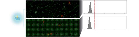 Creating Hyper Dense Protein Arrays For Single Molecule Proteomics