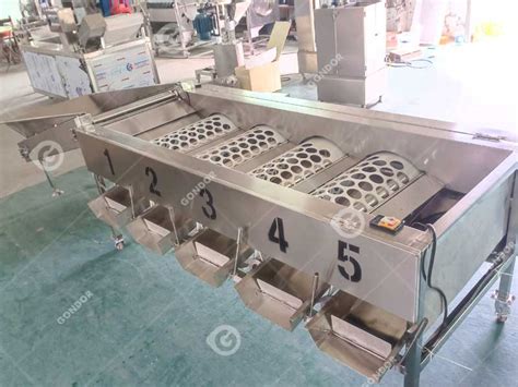 Automatic Fruit Sorting And Grading Machine Gondor Machinery