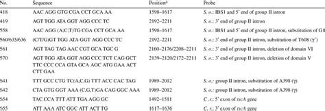 Dna Sequence Of Oligonucleotides Used In This Work Download