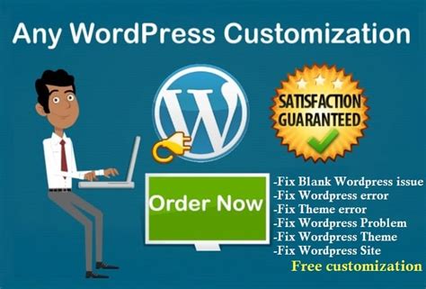 do any wordpress customization and fix service
