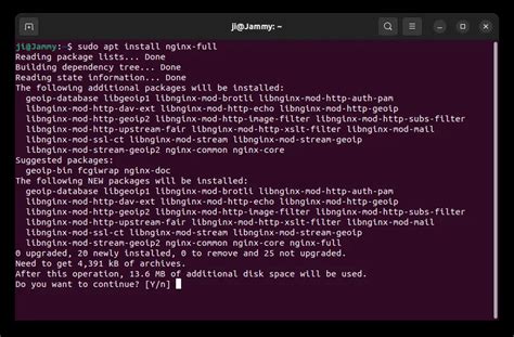 如何在 Ubuntu 2204 中安裝最新的 Nginx（一步一步）