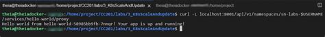 github otammato kubernetes scaling and updating applications