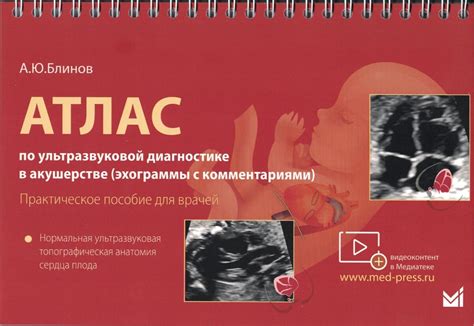 Атлас по УЗД в акушерстве. Нормальная ультразвуковая топографическая ...