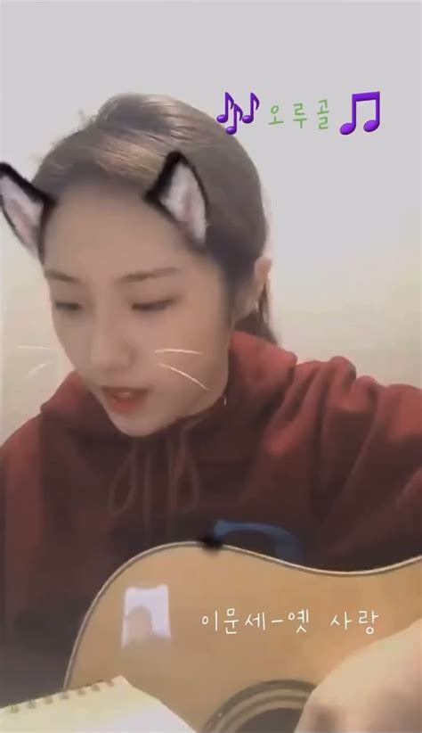 220423 🕊 🦢💌 Clips Rloona