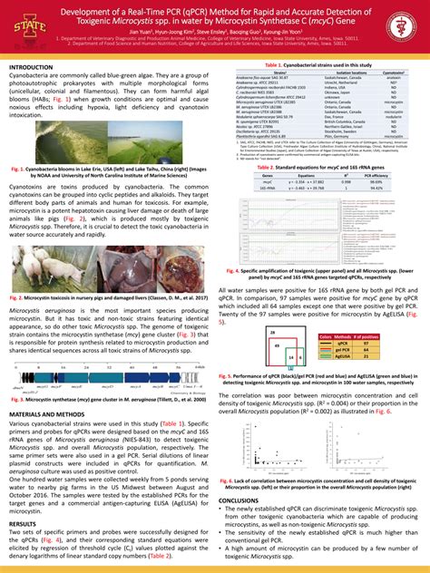 Pdf Development Of A Real Time Pcr Qpcr Method For Rapid And Accurate Detection Of Toxigenic