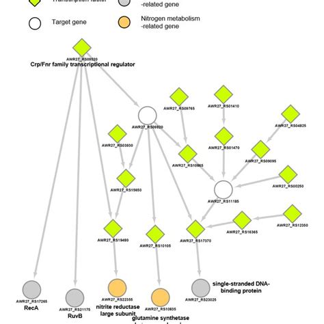 Schematic Overview Of Our Approach In Order To Investigate