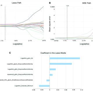 Lasso Algorithm For Feature Selection The Lasso Path A Showed Download Scientific Diagram