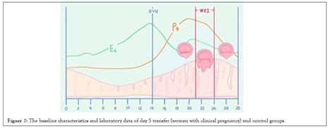 Association Between Available Blastocyst Formation Rate And Pregn