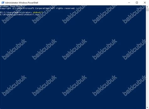 Windows Server 2016 Active Directory Snapshot Baki Çubuk