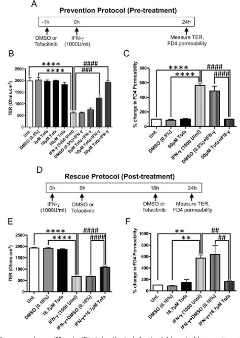 Figure 2 From The Jak Inhibitor Tofacitinib Rescues Human Intestinal Epithelial Cells And