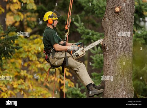 Tree Trimmer Hi Res Stock Photography And Images Alamy