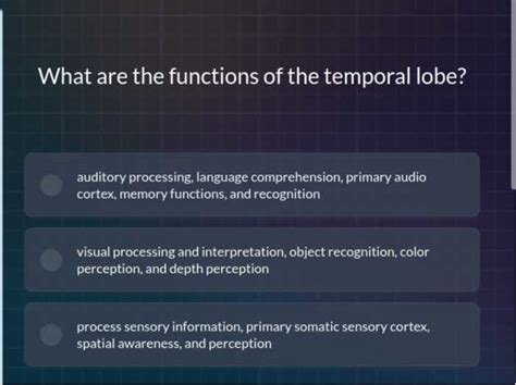 What Are The Functions Of The Temporal Lobe Auditory Processing Language Comprehension