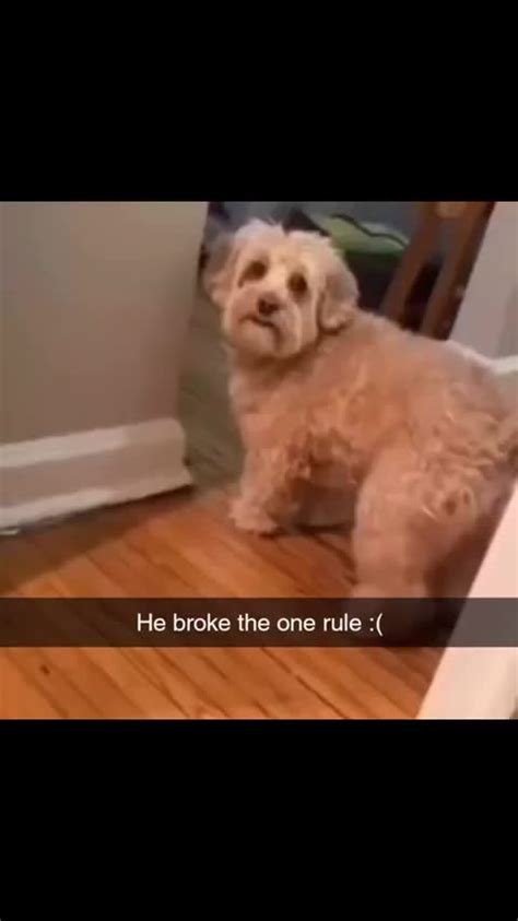 The Audacity Album On Imgur