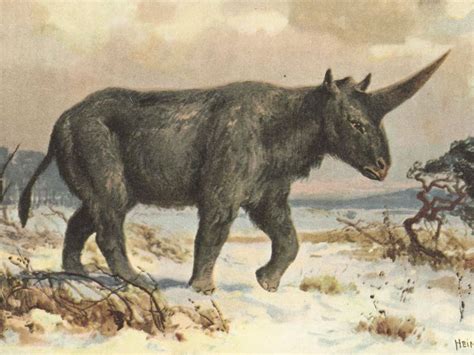 Unicorns Are Real, but Not as Pretty as You Think