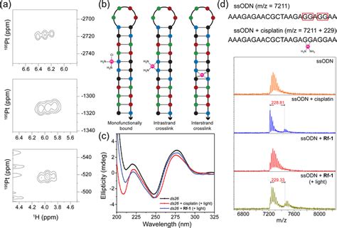 a ¹H ¹⁹⁵Pt HSQC NMR spectra of light irradiated Rf Spectra were Download Scientific