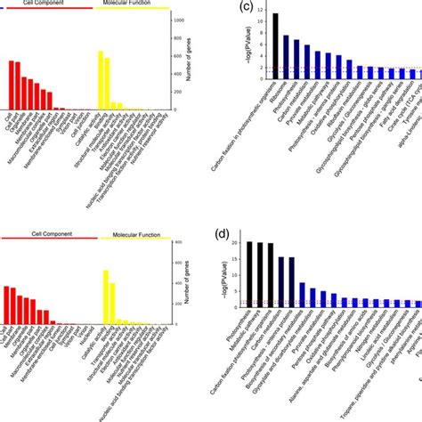 Functional Annotation Of Differentially Accumulated Proteins Gene Download Scientific Diagram