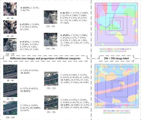 Display Of Images And Labels Of Different Sizes In The Same Areatake Download Scientific