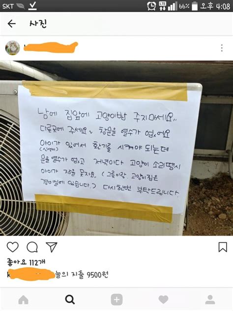 캣맘 진상 유머 움짤 이슈 에펨코리아