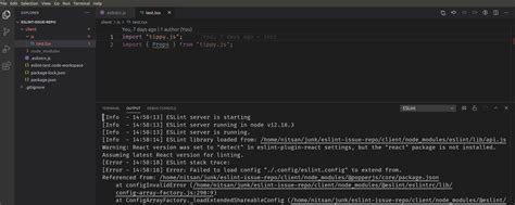Eslint Extension Keeps Giving Errors For A Node Modules Package Failed To Load Config