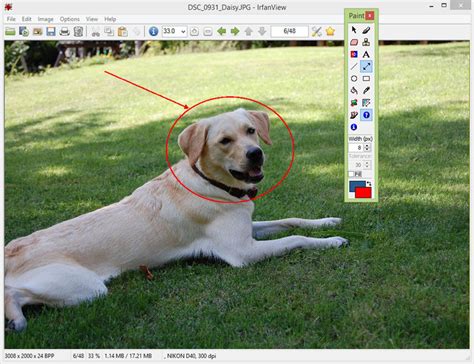 20 Must Have Love Photo Editor Software And Apps In 2018